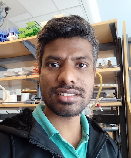 Manikandan Thangaraj, Ph.D. | Fesik Lab | Vanderbilt University