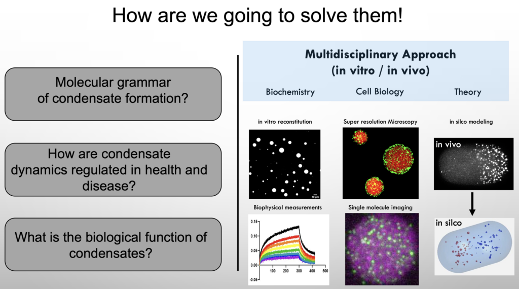 Research | Folkmann Lab | Vanderbilt University