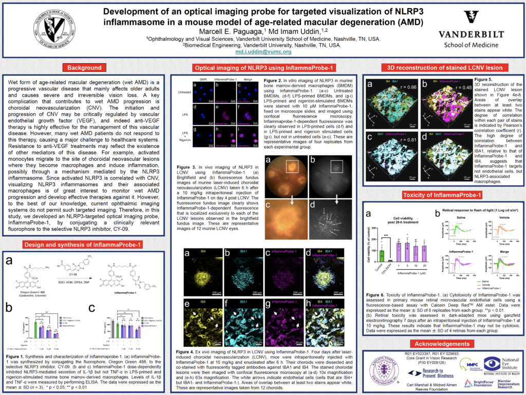 Uddin-Lab_Development-of-an-optical-imaging-probe-for-targeted- | Uddin ...