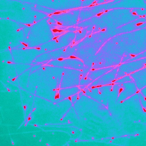 Publications | Zanic Lab | Vanderbilt University