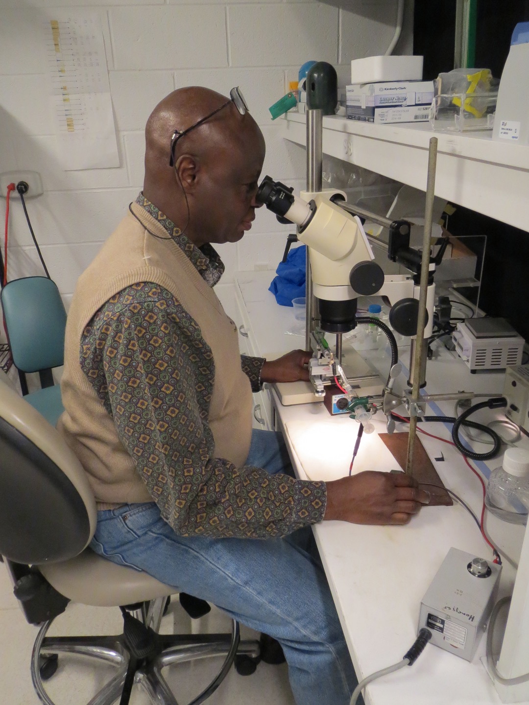 Lab Staff | The Zwiebel Lab | Vanderbilt University